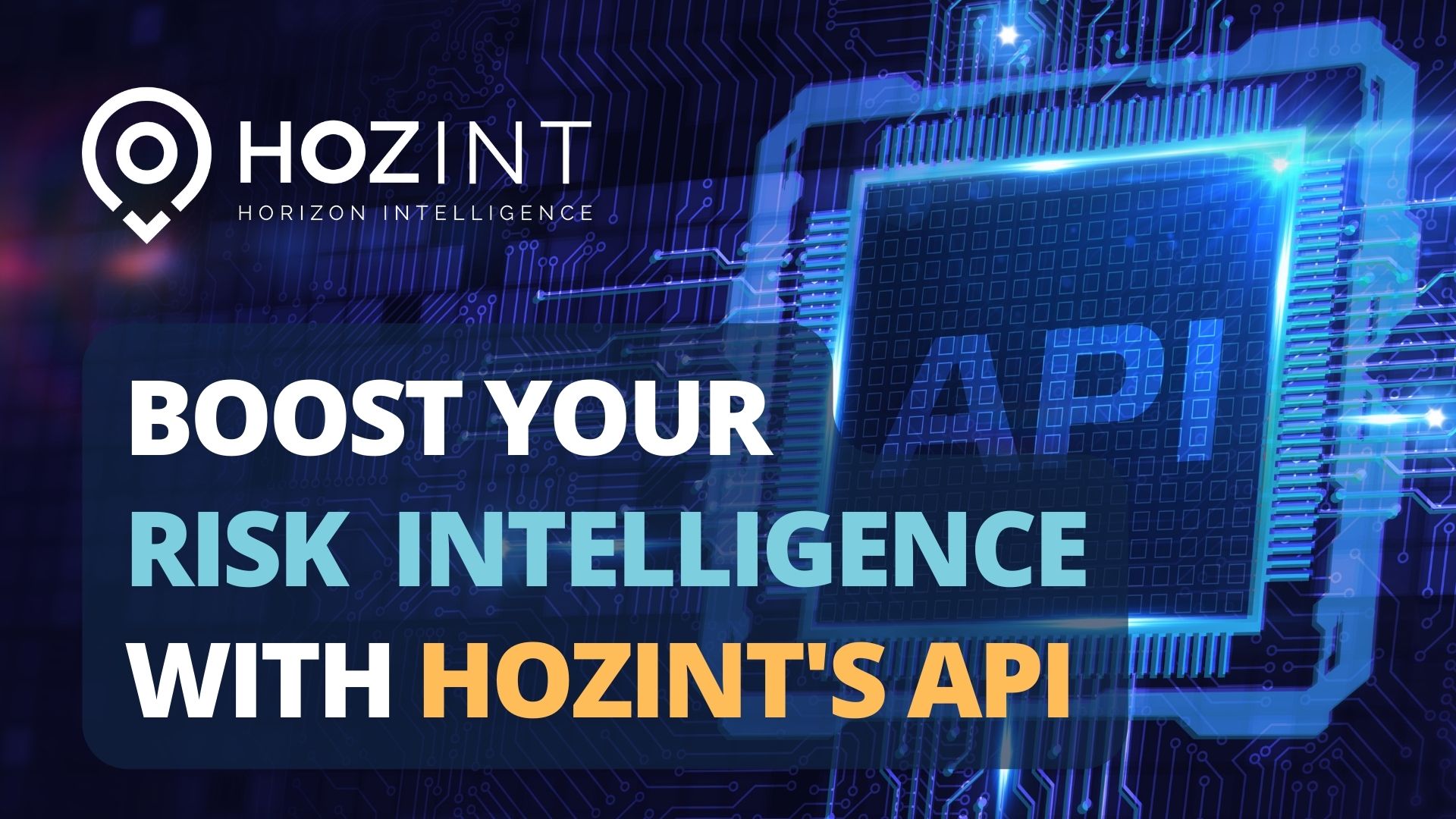 Application Programming Interface (API) for risk intelligence – HOZINT ...